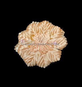 Peach Capias Carnation Flowers - The Brat Shack Party Store