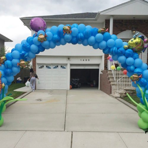 Order Professional Balloon Arches For Birthday Party - The Brat Shack